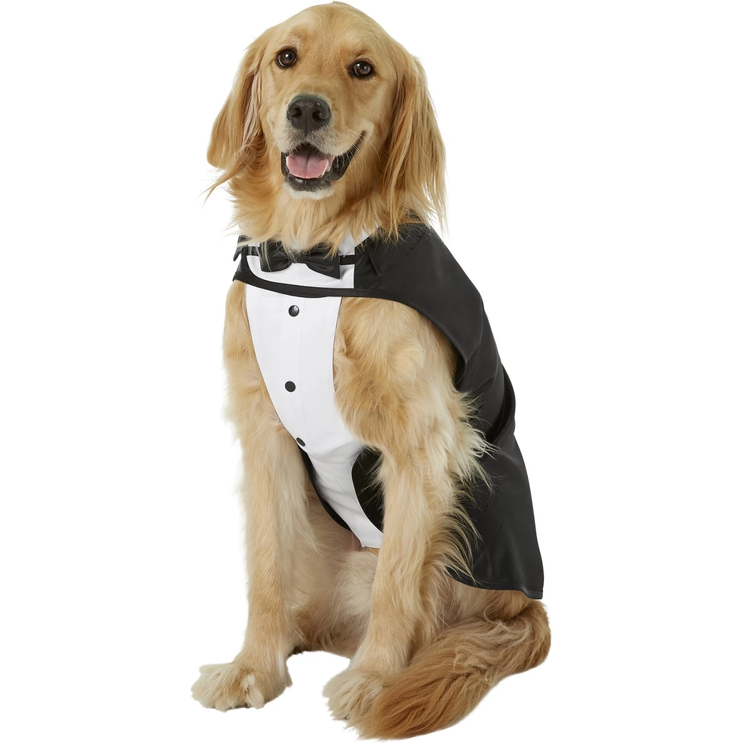 Frisco Guarantees Quality and Value - Discover Our Frisco Formal Dog & Cat Tuxedo, Black Collection.